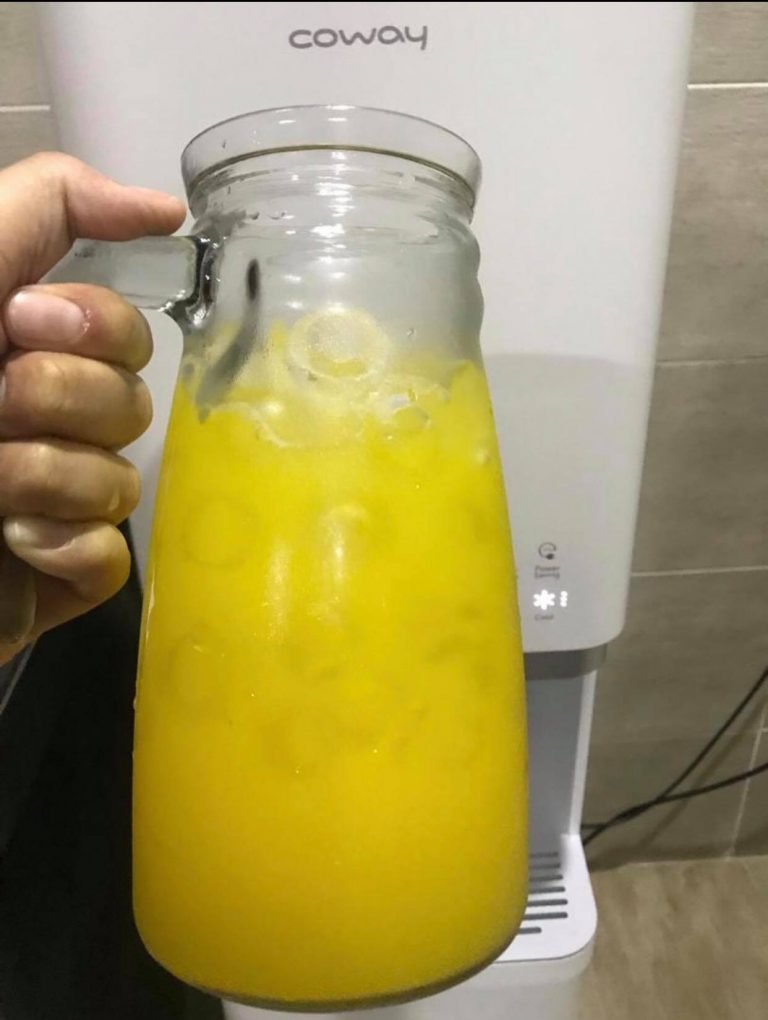 Penapis Air Lucy Plus Coway | Coway Official